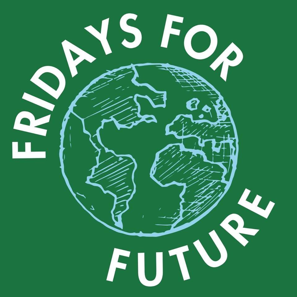 ¿Qué es Fridays for Future? – Decimos que no vemos, no oímos y no ...